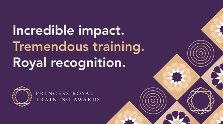 Royal Princess Training Awards Support Workshop - NAAME